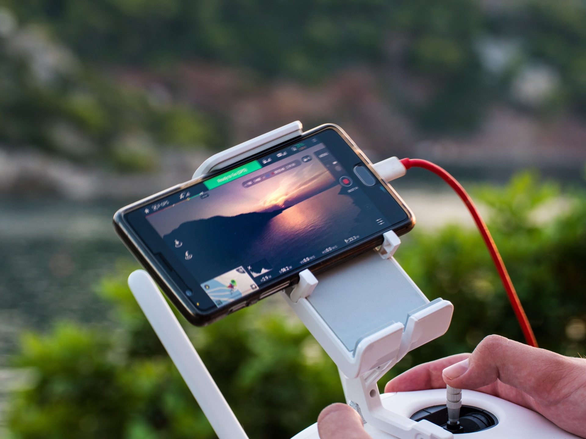 Best Dog Tech & Accessories: 10 Essentials for Your Pup – Vault